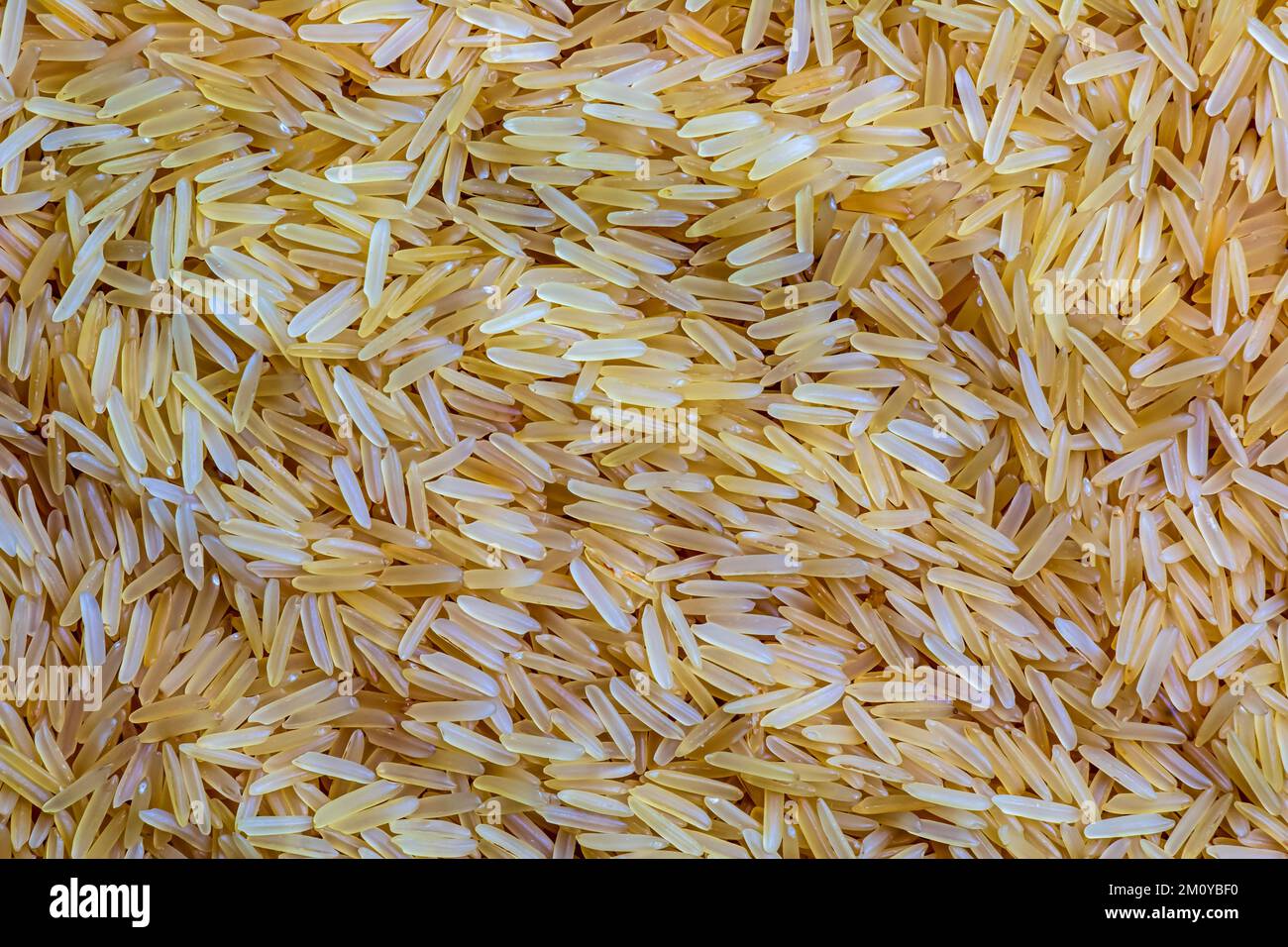 Background of long grain parboiled uncooked rice. Rice groats as ...