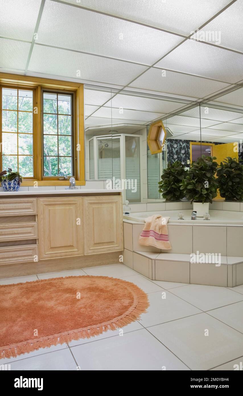 Vanity and soaking bathtub on podium in bathroom inside mixed decorated ...