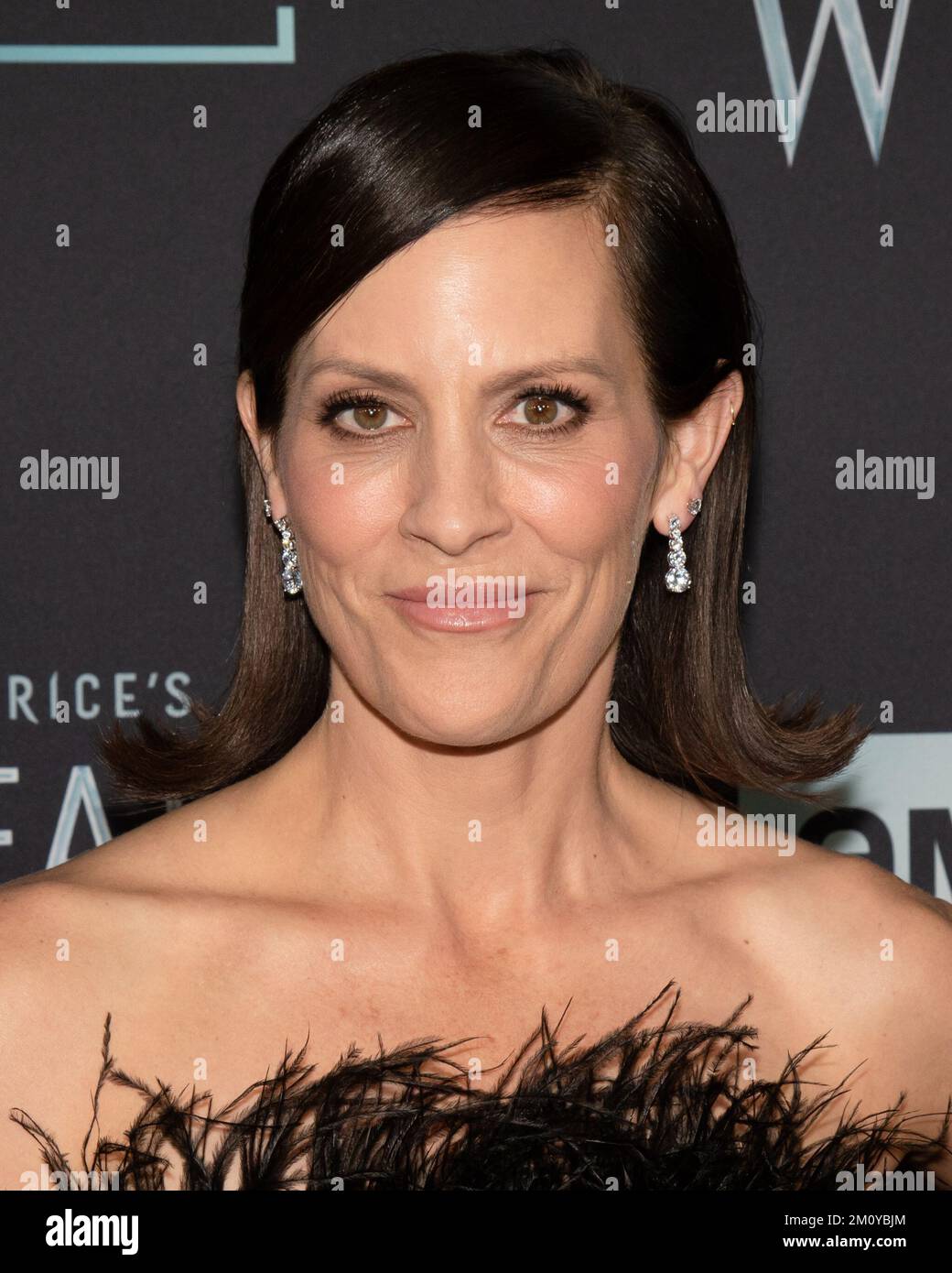 December 7, 2022, Hollywood, California, USA: Annabeth Gish attends the ...