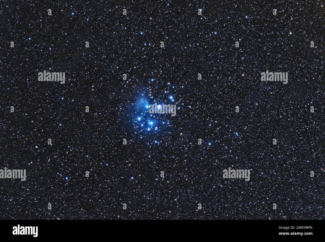 Wide field of the Pleiades, also known as The Seven Sisters and Messier 45, are an open star ...