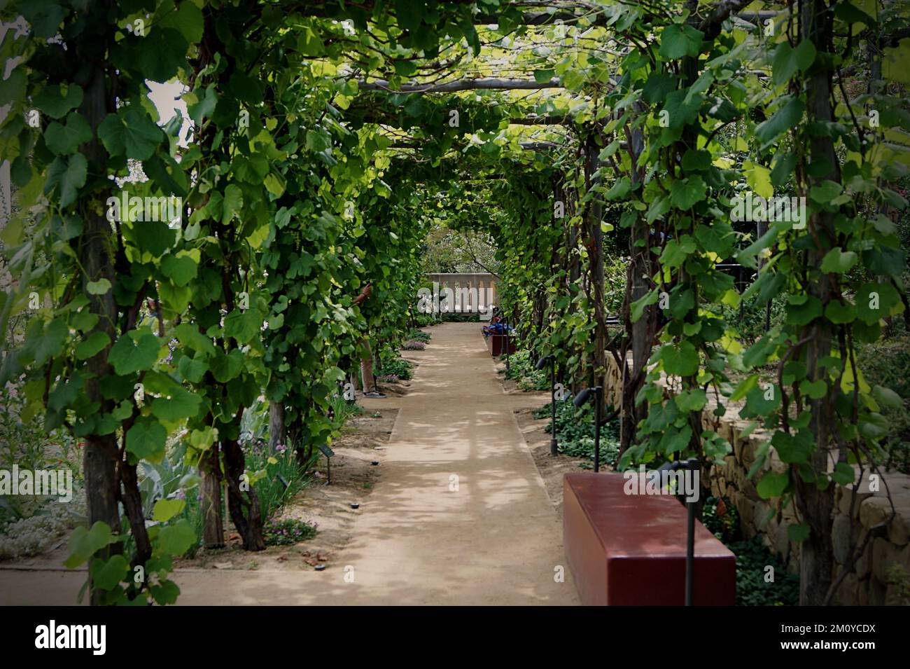 Getty Villa Walkway of Nature Stock Photo - Alamy