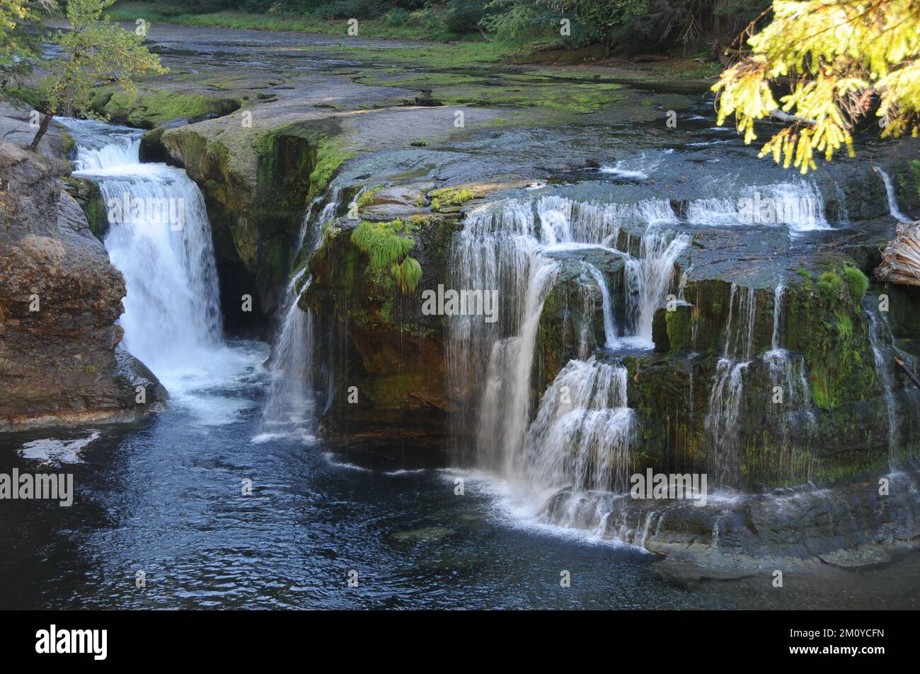 Lower lewis falls washington hi-res stock photography and images - Alamy