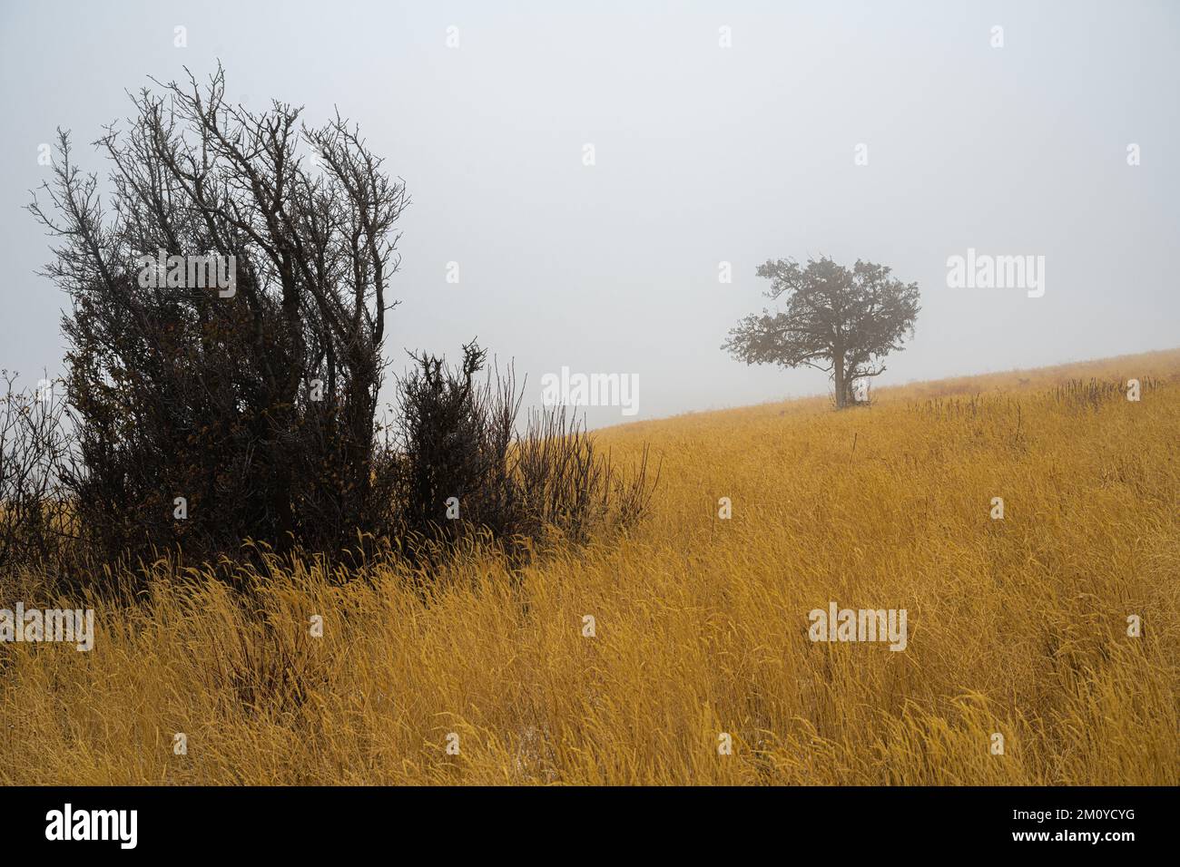 L t murray wildlife area hi-res stock photography and images - Alamy