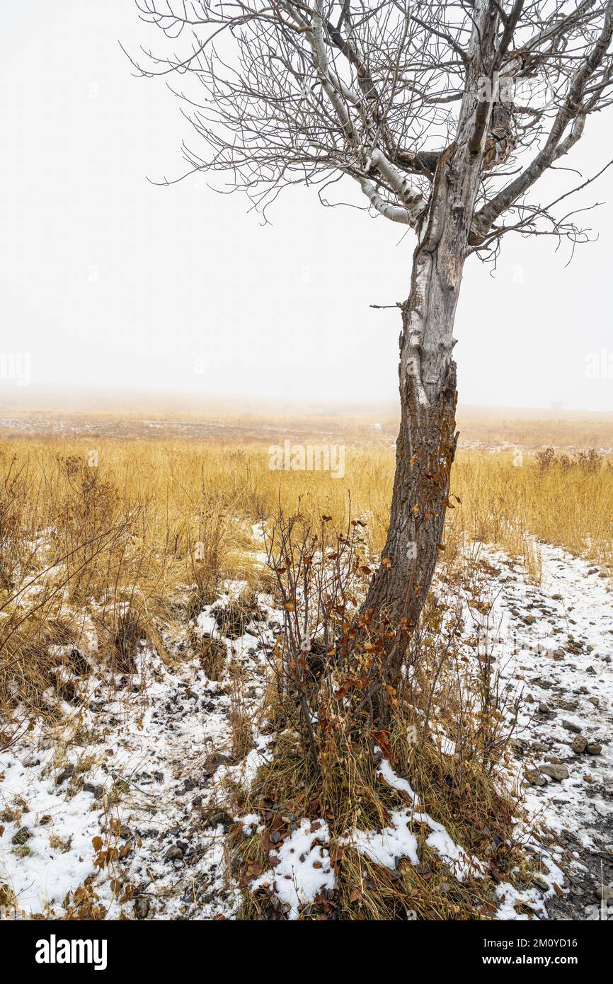 L t murray wildlife area hi-res stock photography and images - Alamy