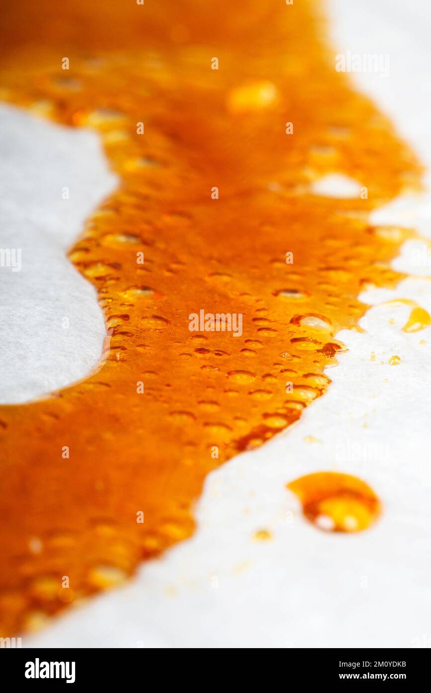 medical cannabis wax running down the paper, orange bubbles resin ...