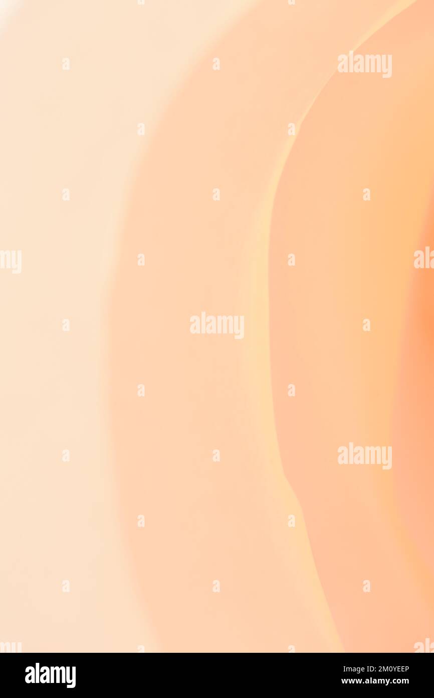 Wallpaper abstract with pink color gradient.Pink layers abstract ...