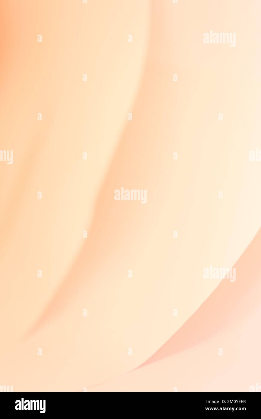 Paper texture in beige colors.Soft focus. Wallpaper abstract with beige ...