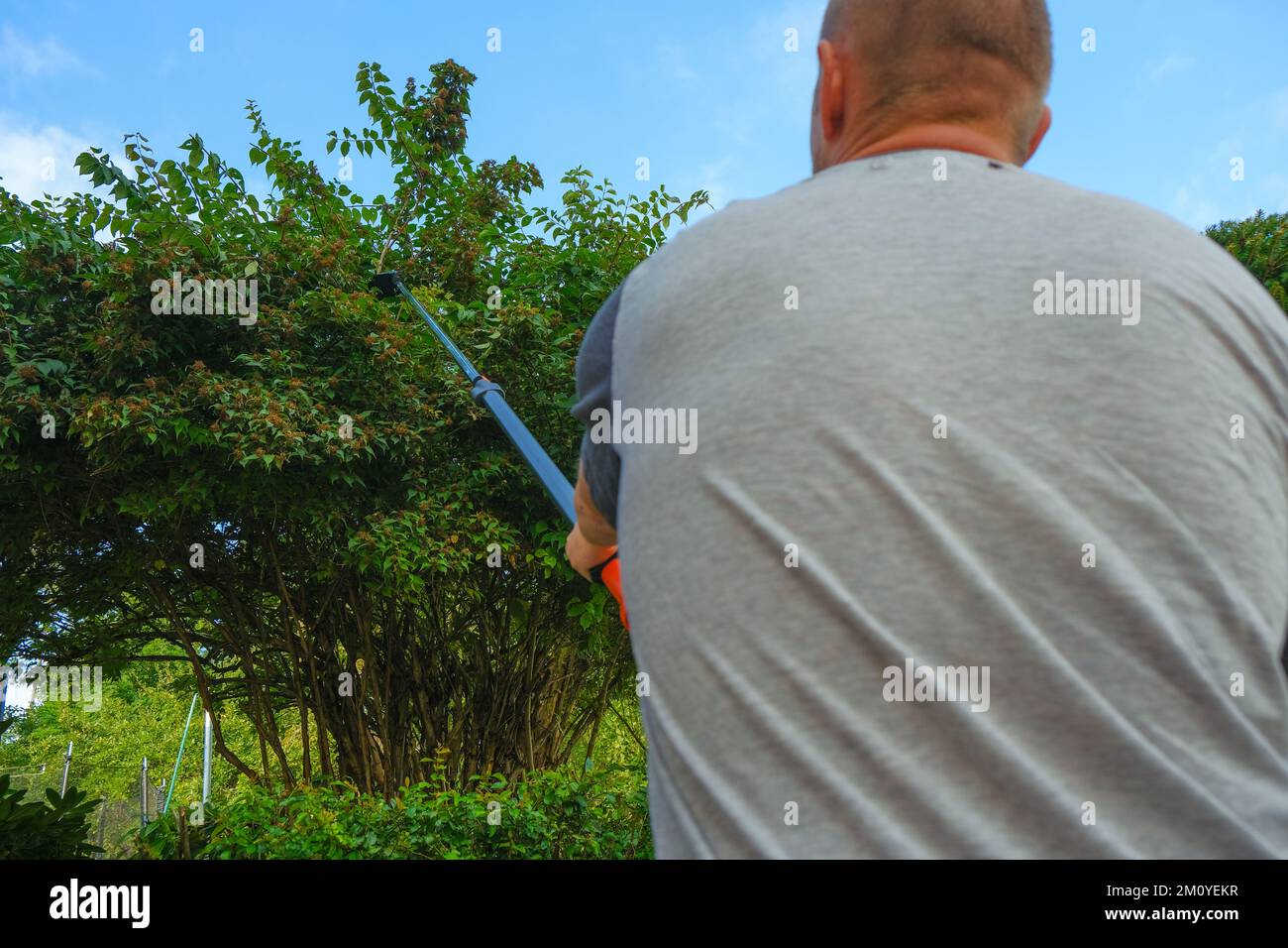 telescopic pruner for pruning branches.Telescopic garden shears cut ...