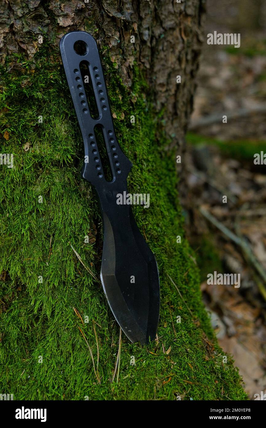 Black throwing knives on a mossy stump in a sunny forest.Sports ...