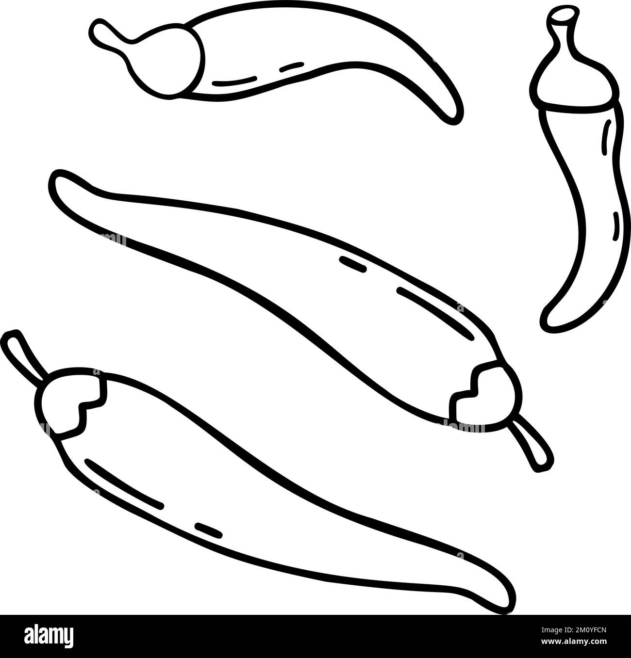 Collection of chili peppers. Spicy vegetable. Vector linear hand drawn ...