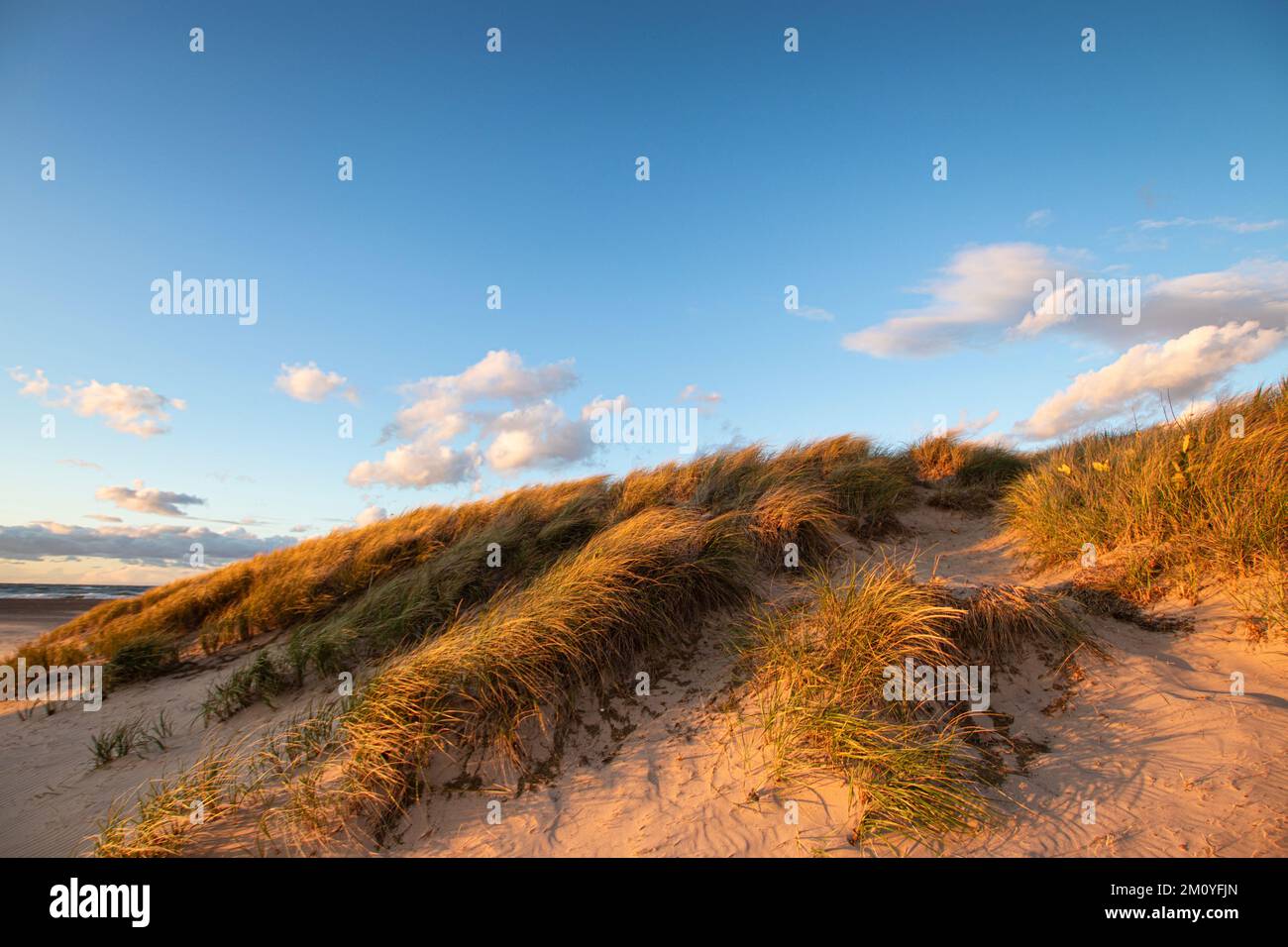 Hilly sand dunes grass hi-res stock photography and images - Alamy