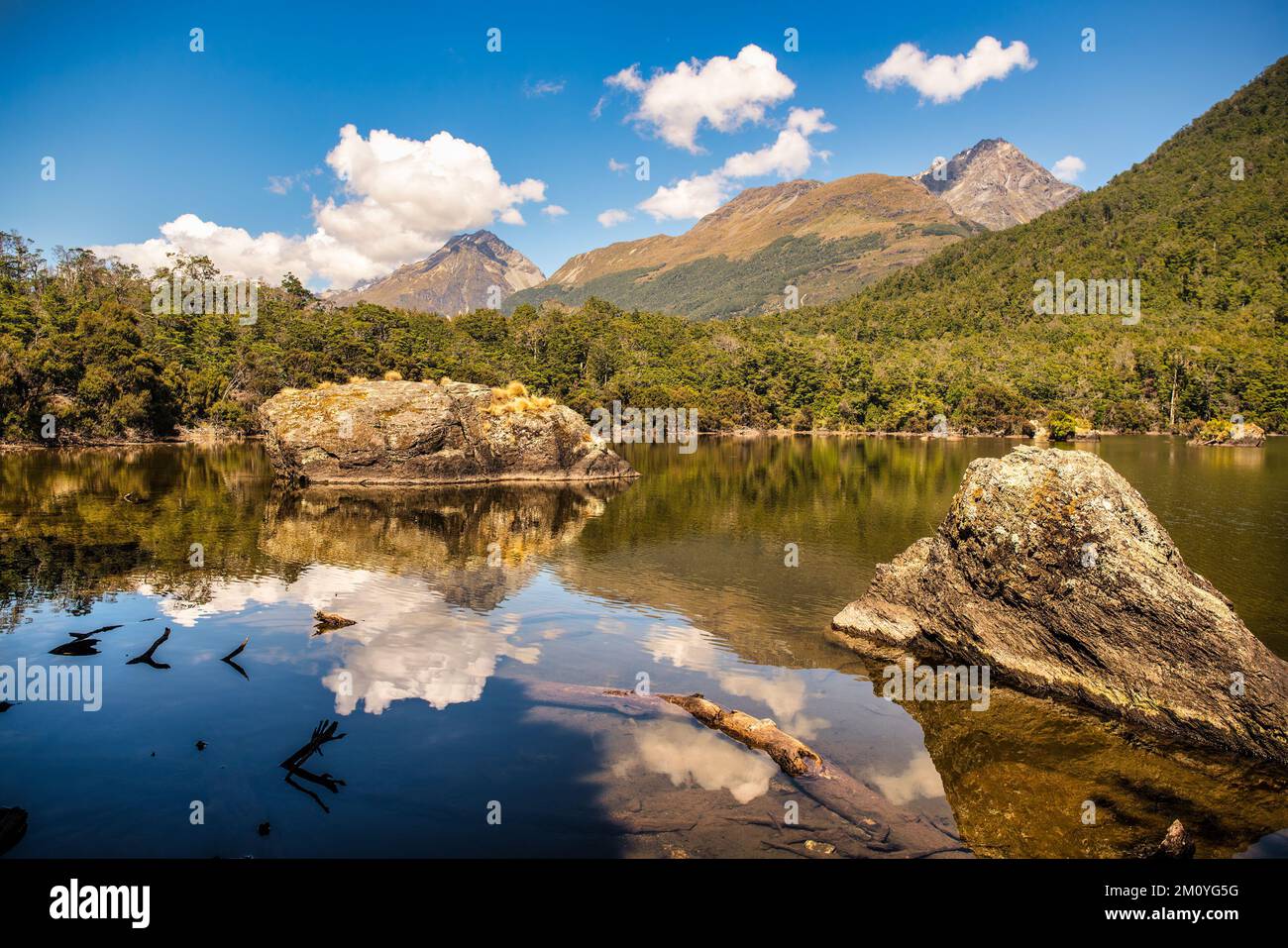 Remote rural South Mavora Lake surrounded by lush native forest with ...