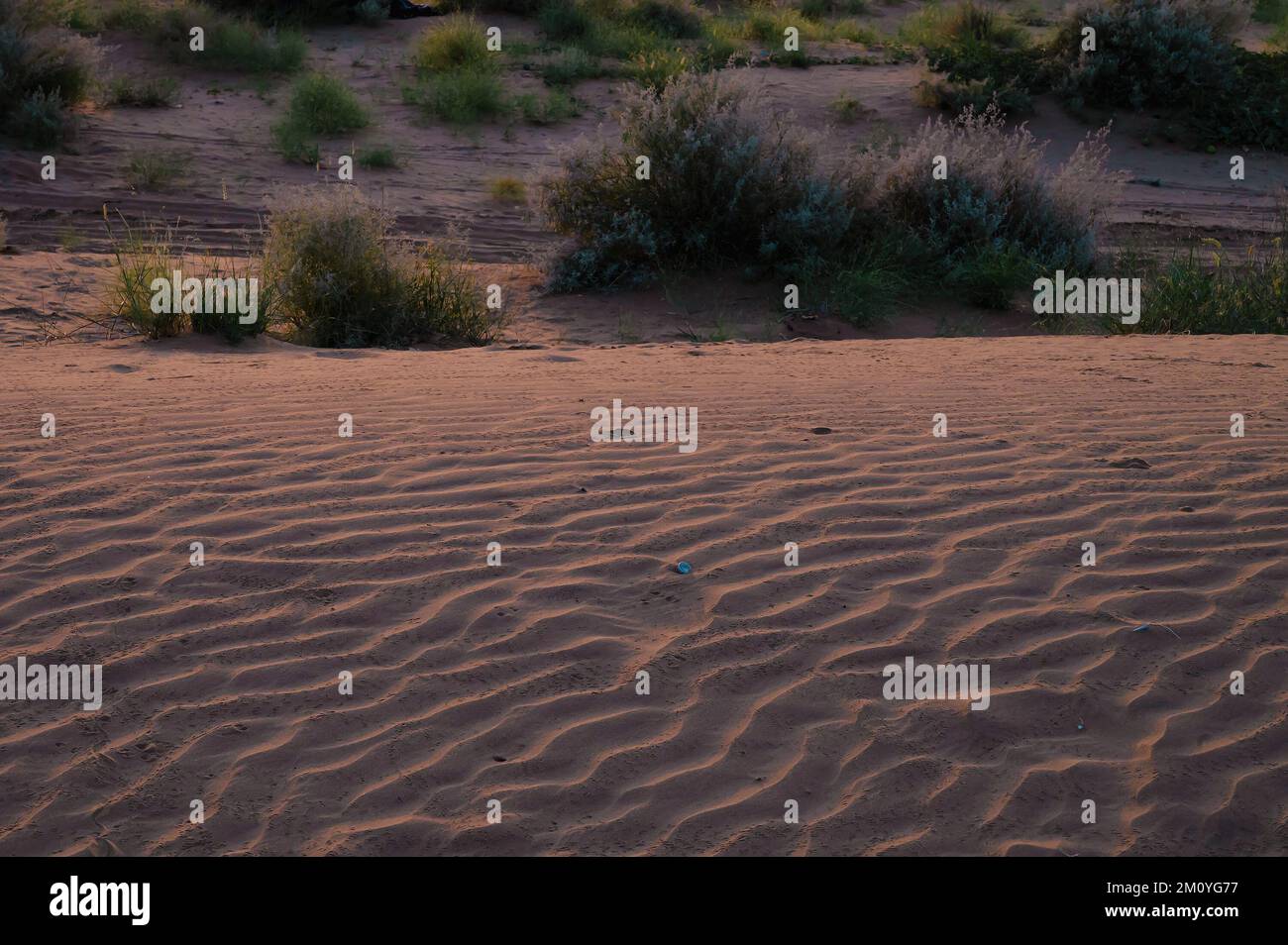 Wavy sand dunes of Thar desert, Rajasthan , India Stock Photo - Alamy
