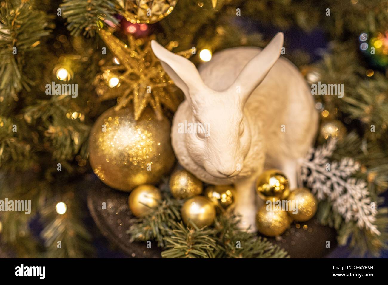 Christmas tree and Christmas toys. Preparing for the New Year. High ...