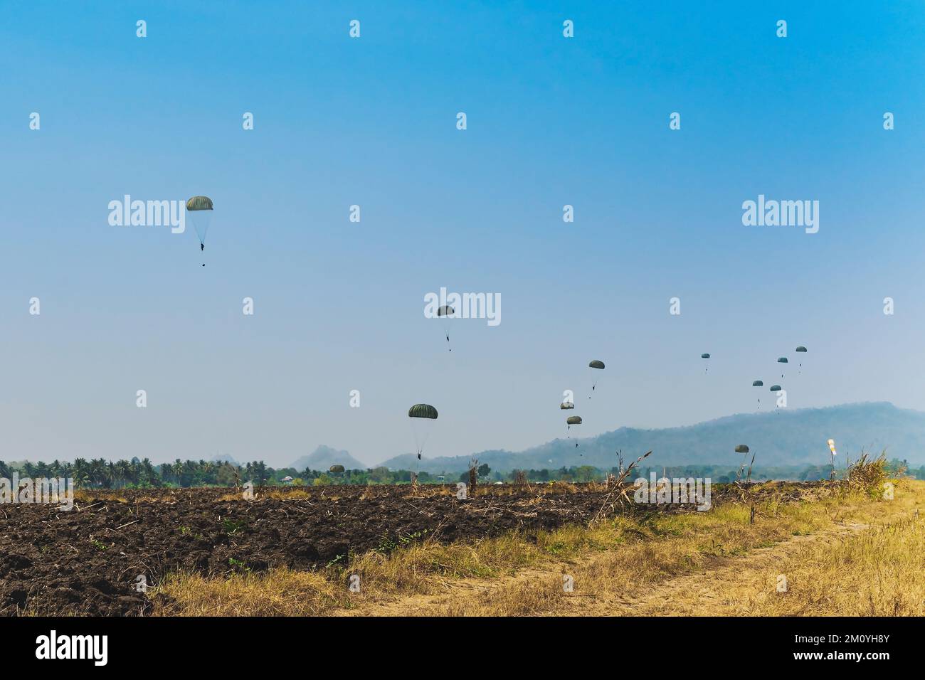 Army cadet paratroopers in military uniform landing on field. Skydiver ...