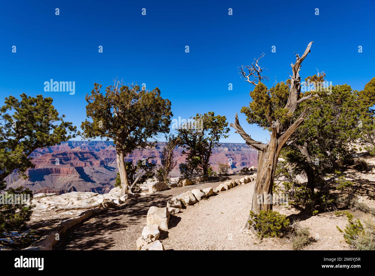 View of hiking trail curving through twisted juniper trees along the ...