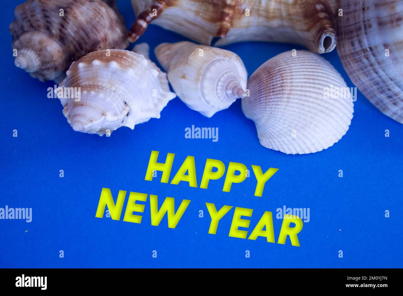 Animal Shell, Summer vacation, marine background with Happy New Year ...