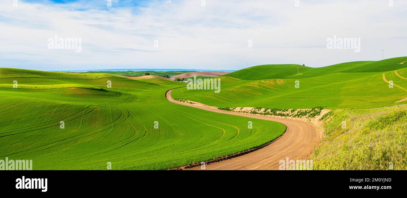 A dirt road curving through a beautiful landscape of green hills and ...