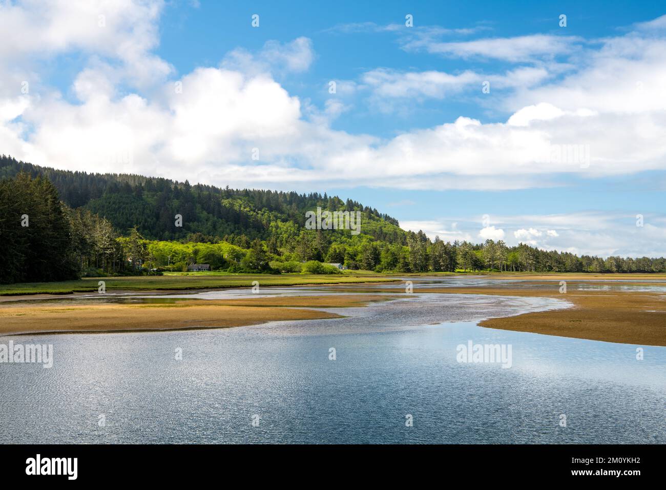 Mud flats and water below forest-covered green hills along the coast ...