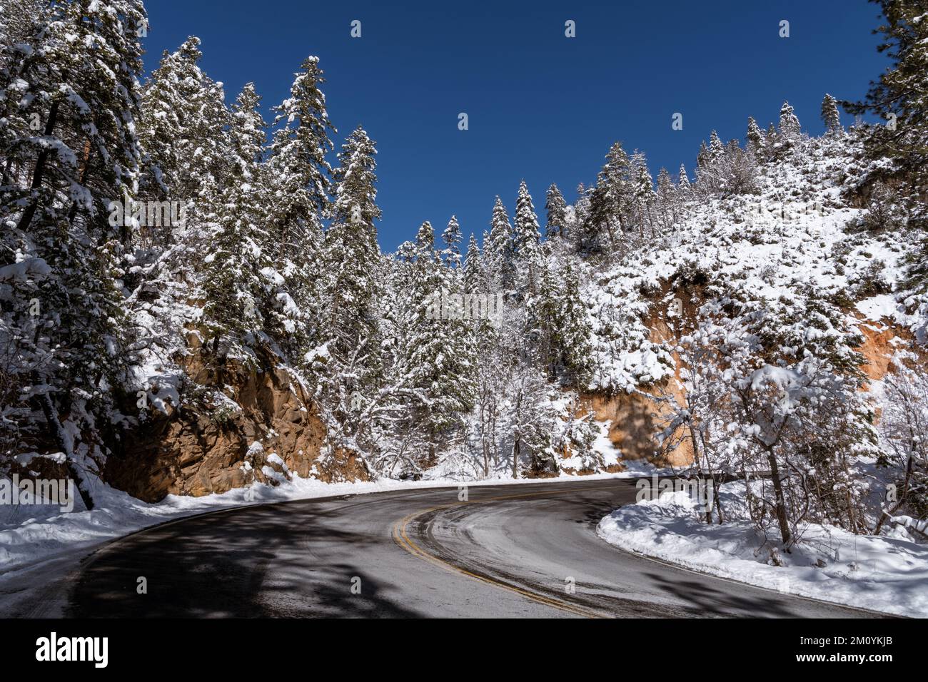 Highway curves through snow-covered trees in Oak Creek Canyon, Sedona ...