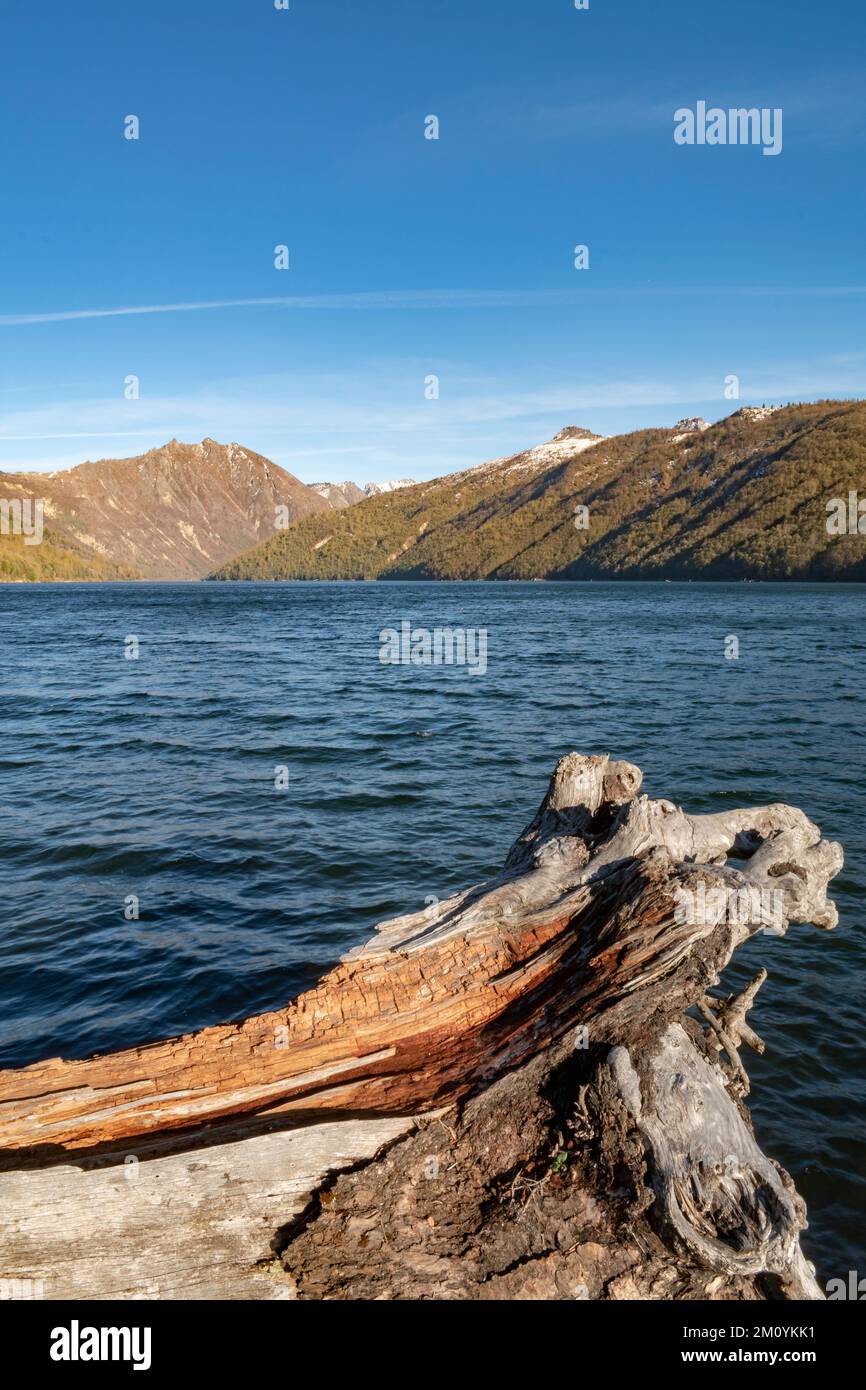 Log in front of Coldwater Lake Stock Photo - Alamy