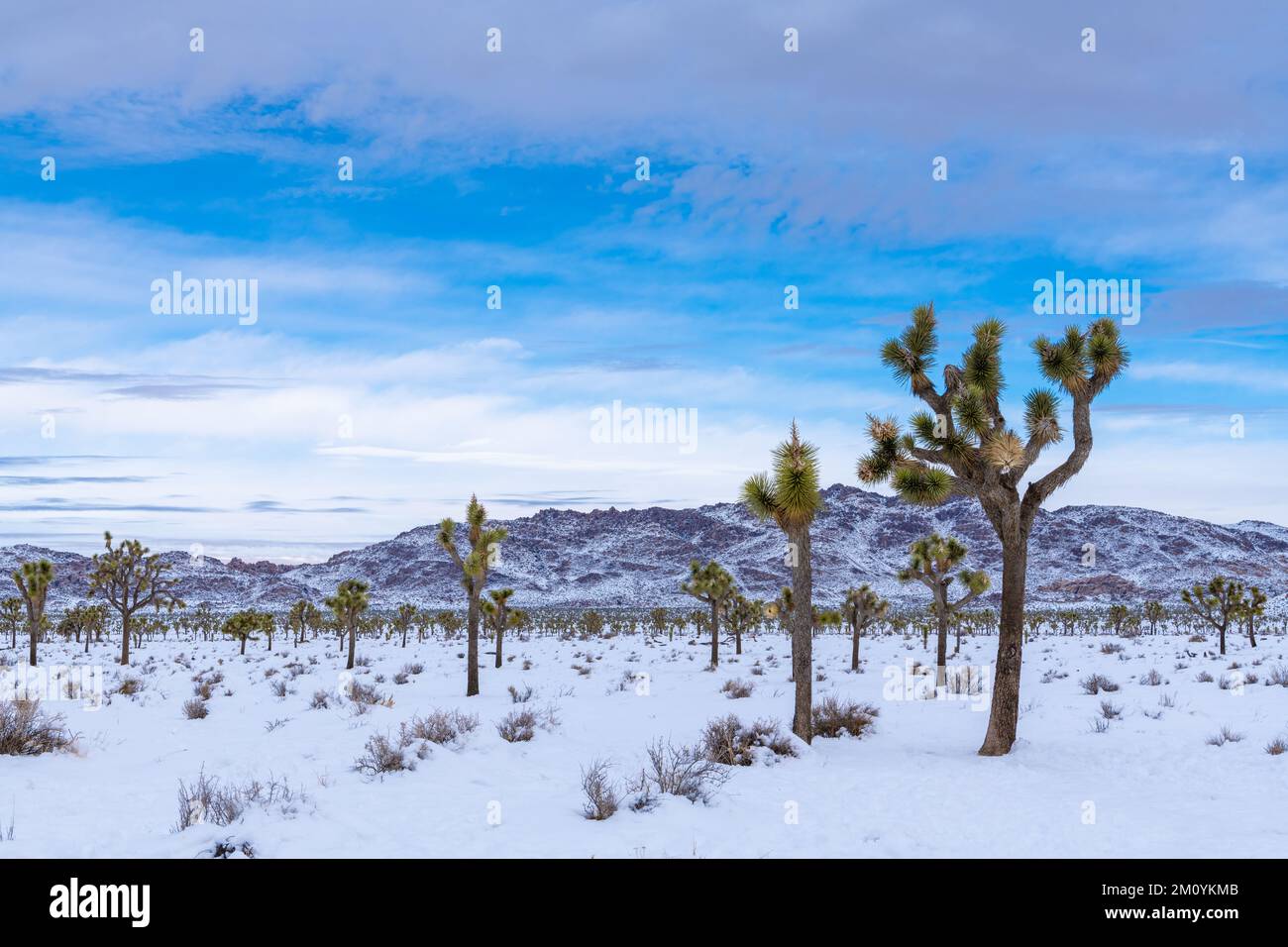 Desert snow covered mountains hi-res stock photography and images - Alamy
