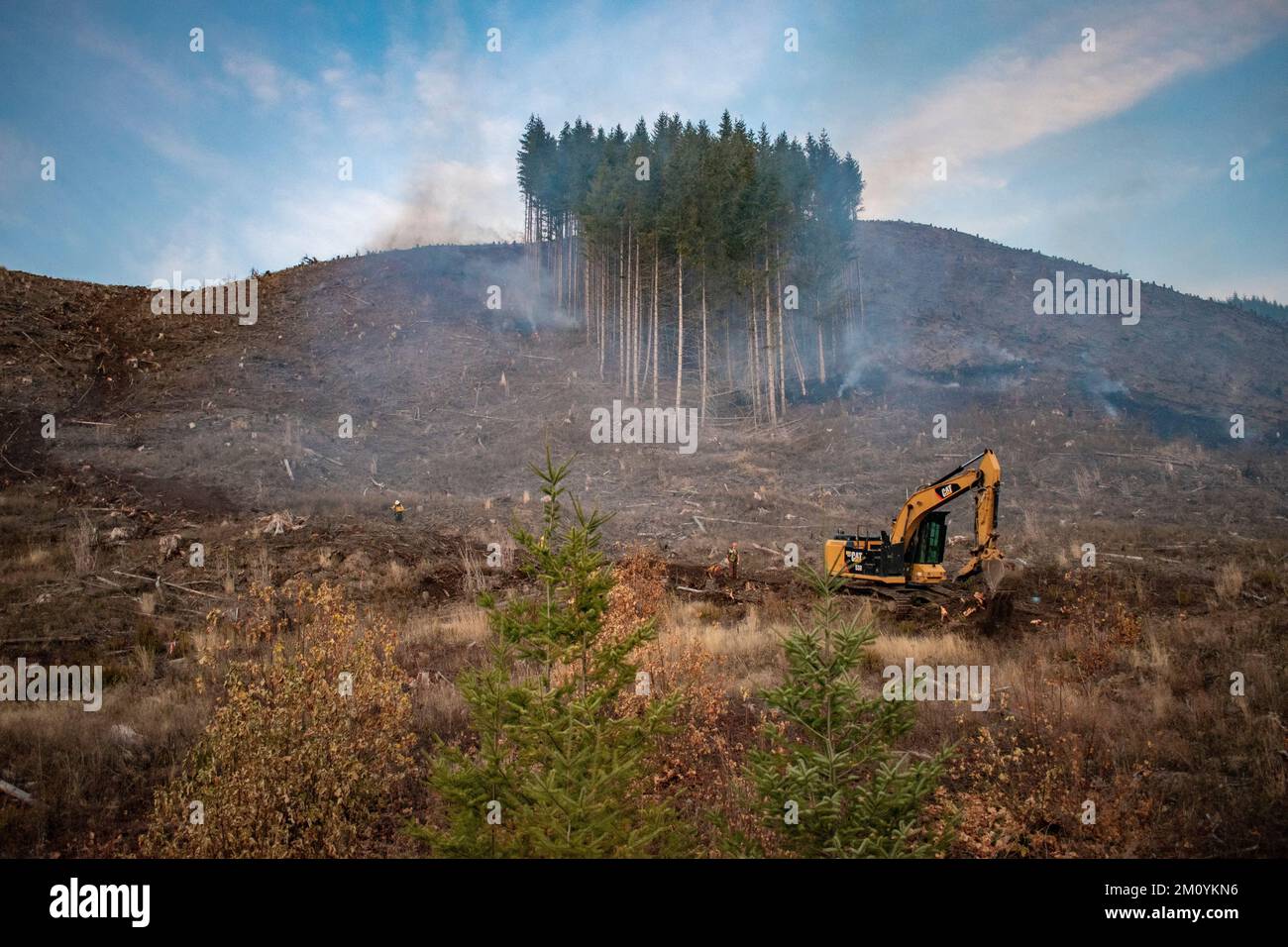 Firemen controlling brush fire Stock Photo - Alamy