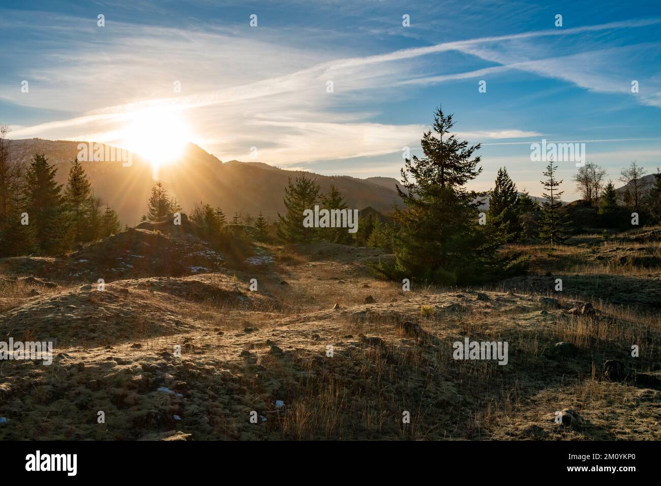 Cascade mountain ash hi-res stock photography and images - Alamy