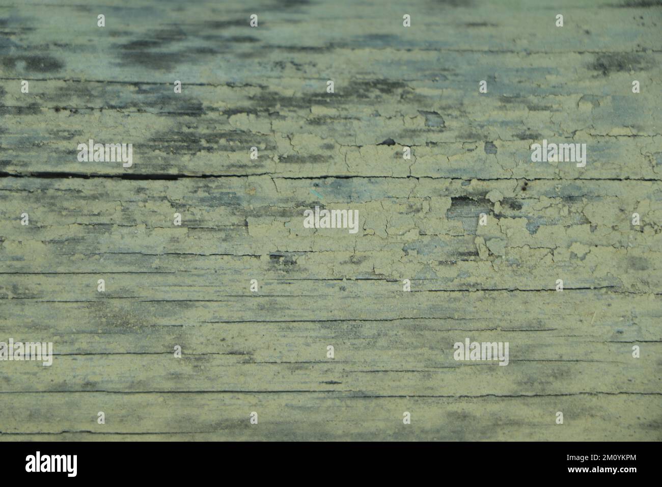 Table top view of birch wood texture in white pale color background ...
