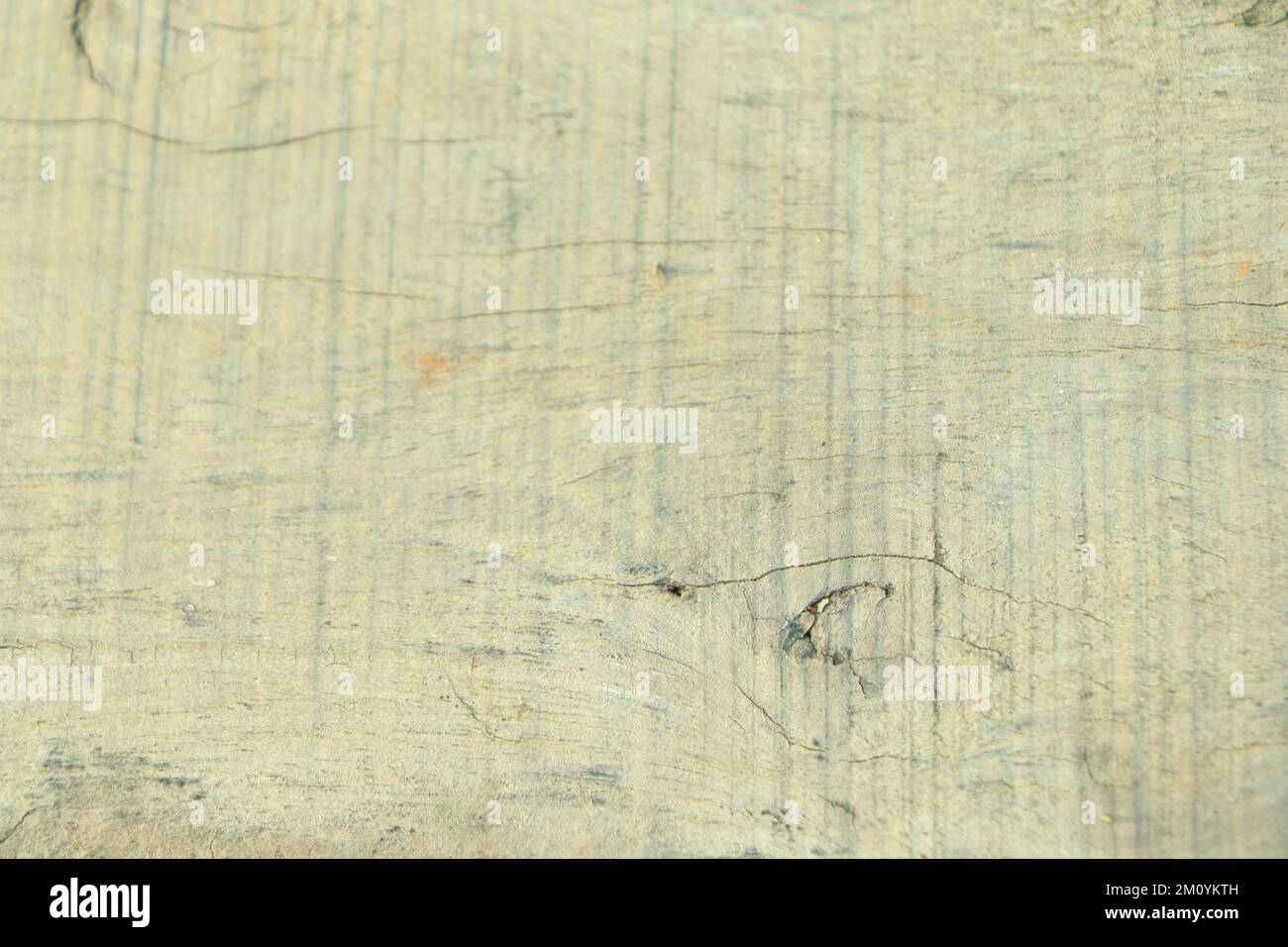 White wood background texture. Abstract wooden backdrop with space for ...