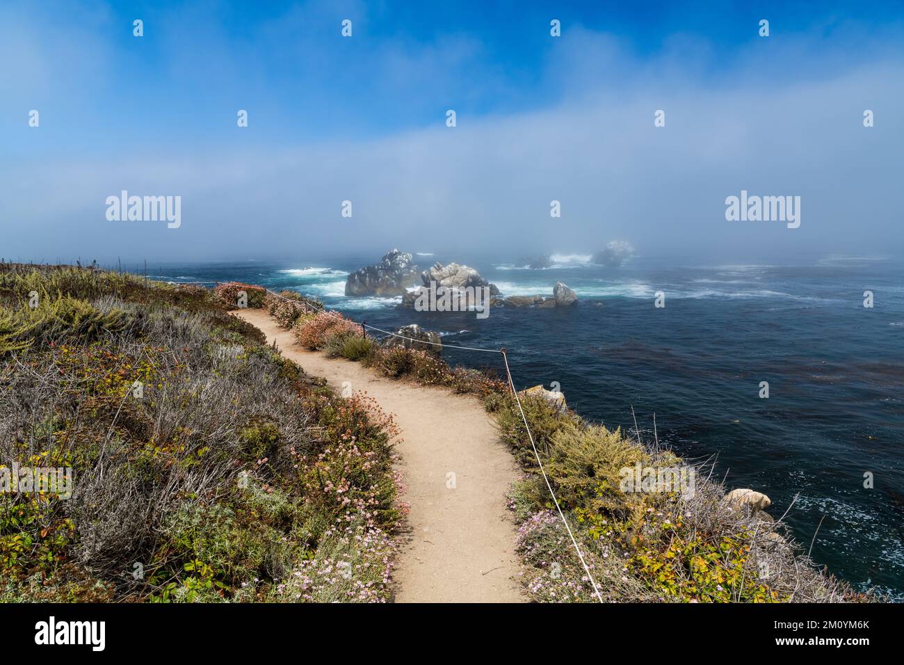 Hiking trail through wildflowers above the sea and rock formations into ...
