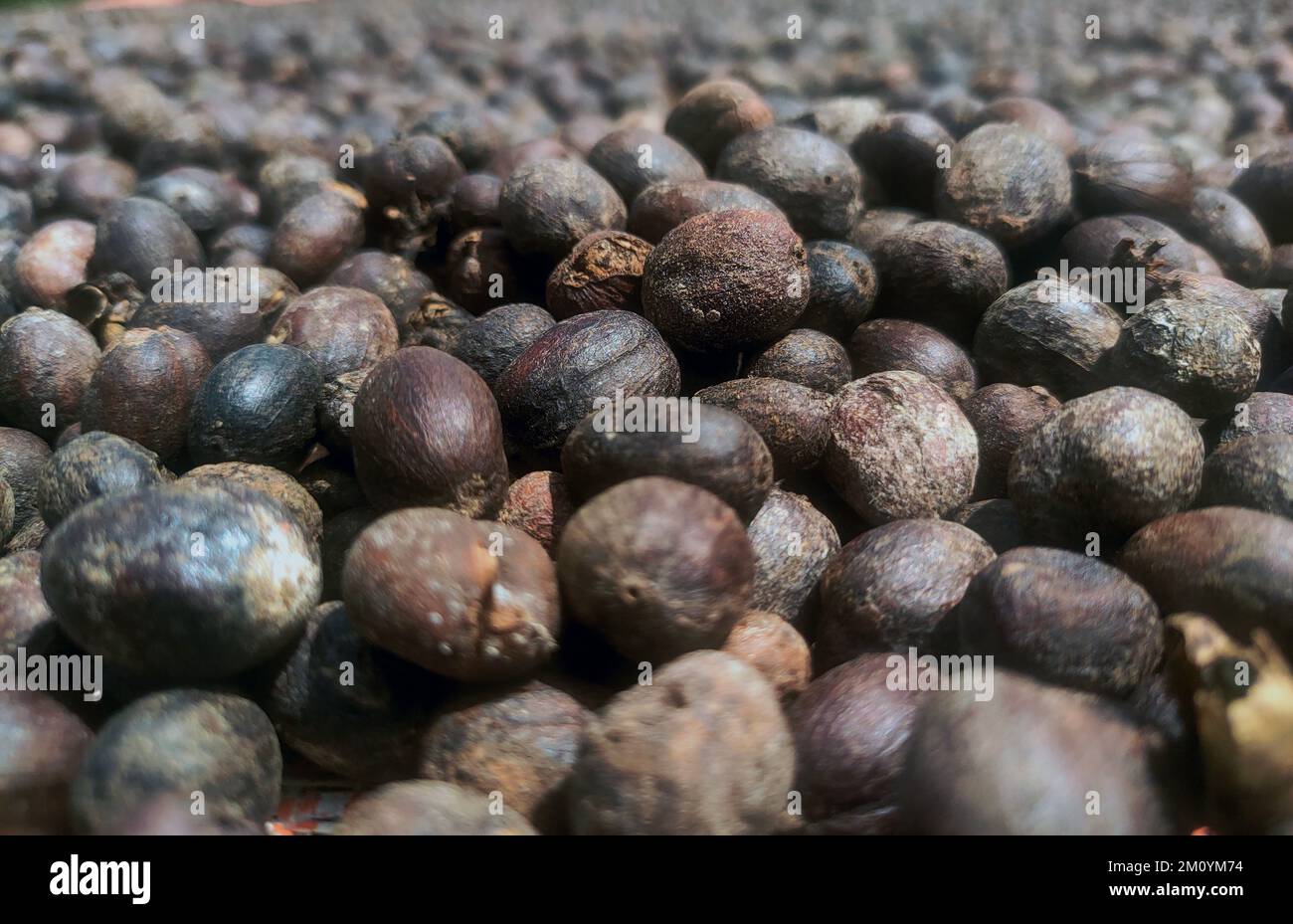 dried coffee beans. nature background Stock Photo - Alamy