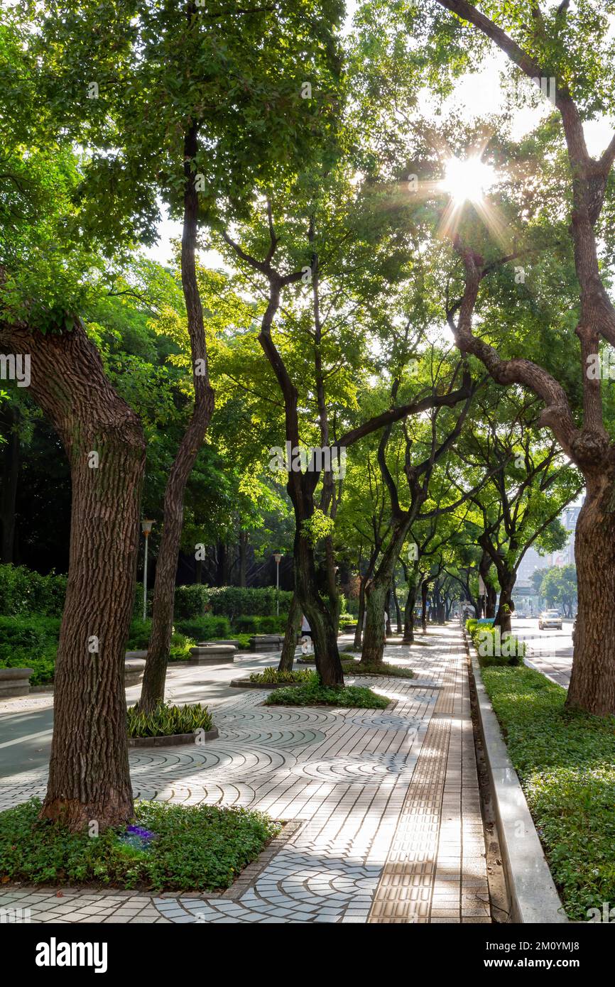 Sunny view of the cityscape of Daan District at Taipei Stock Photo - Alamy
