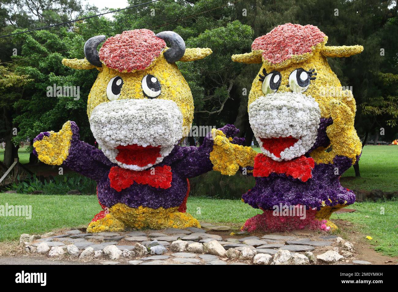 Pushin ranch hi-res stock photography and images - Alamy