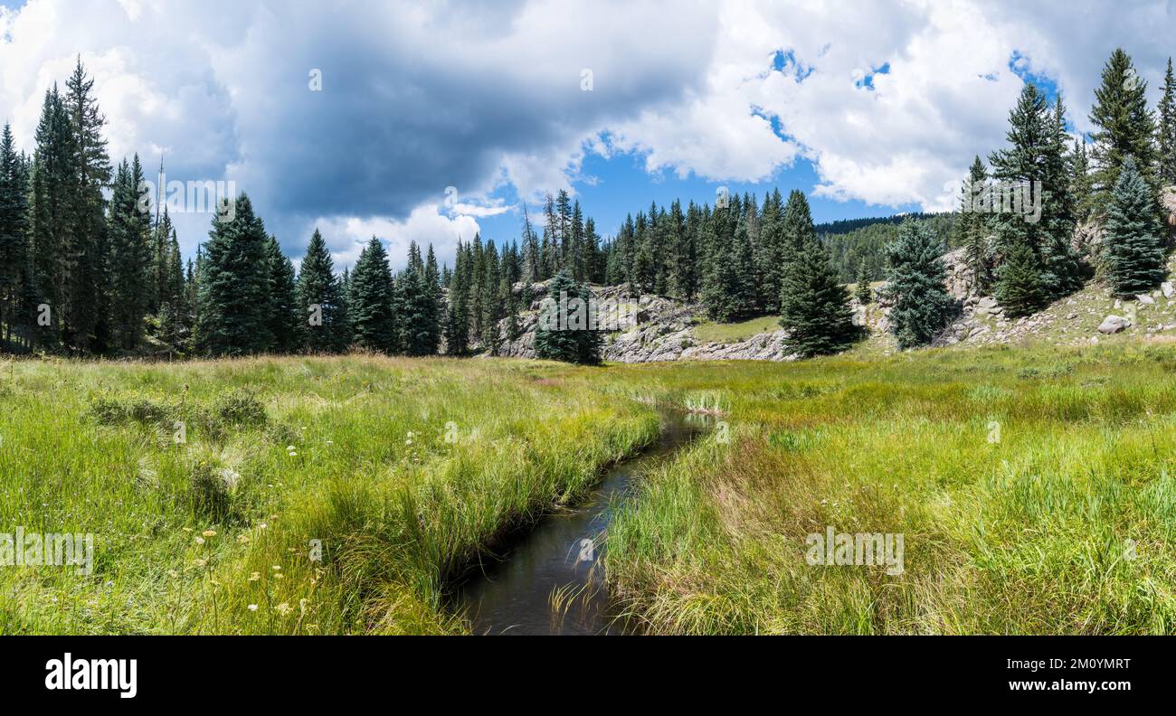Stream curving through lush, green meadows and mountains in the Valles ...