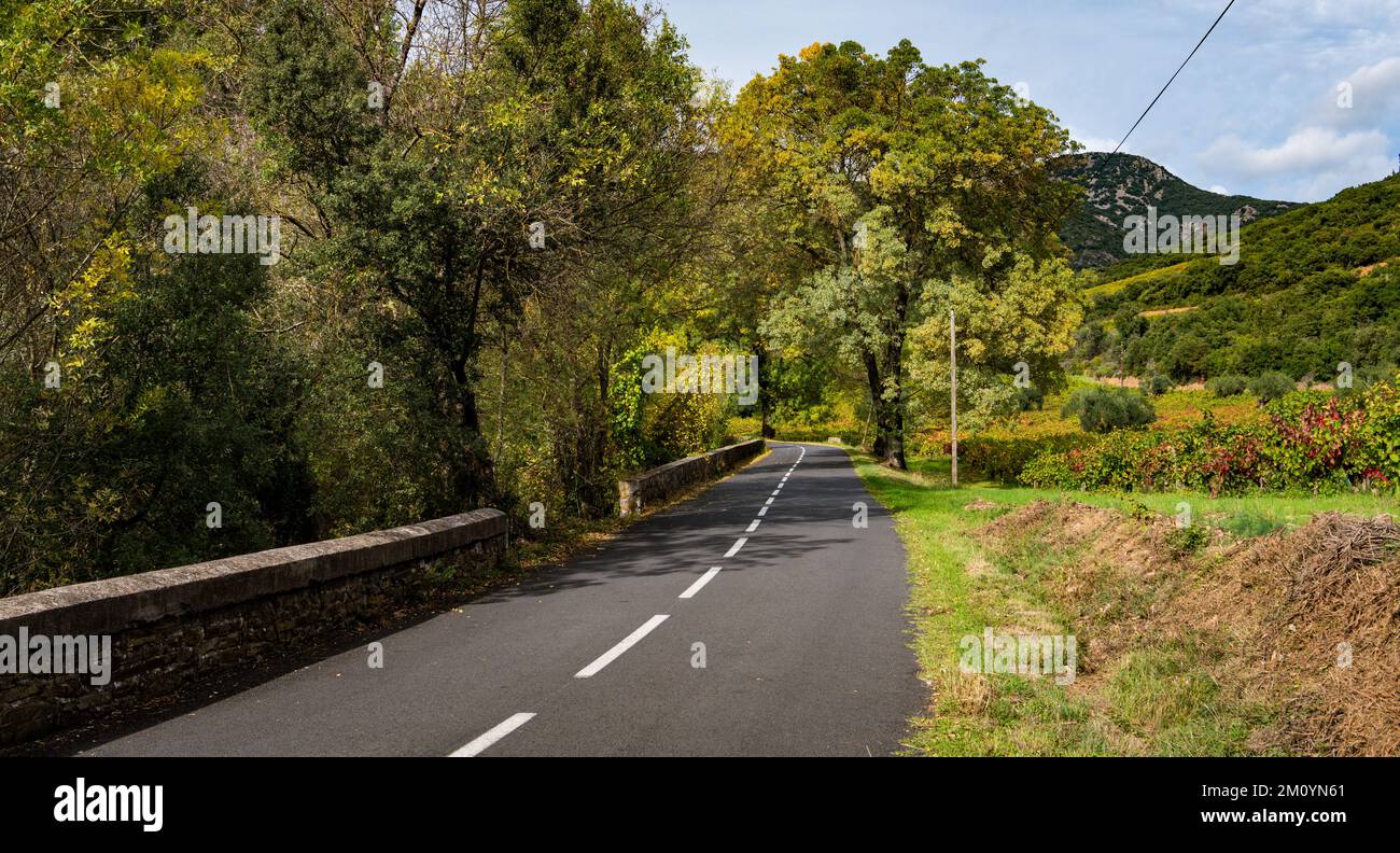 Road curving through rural landscape of vineyards and trees in France's ...