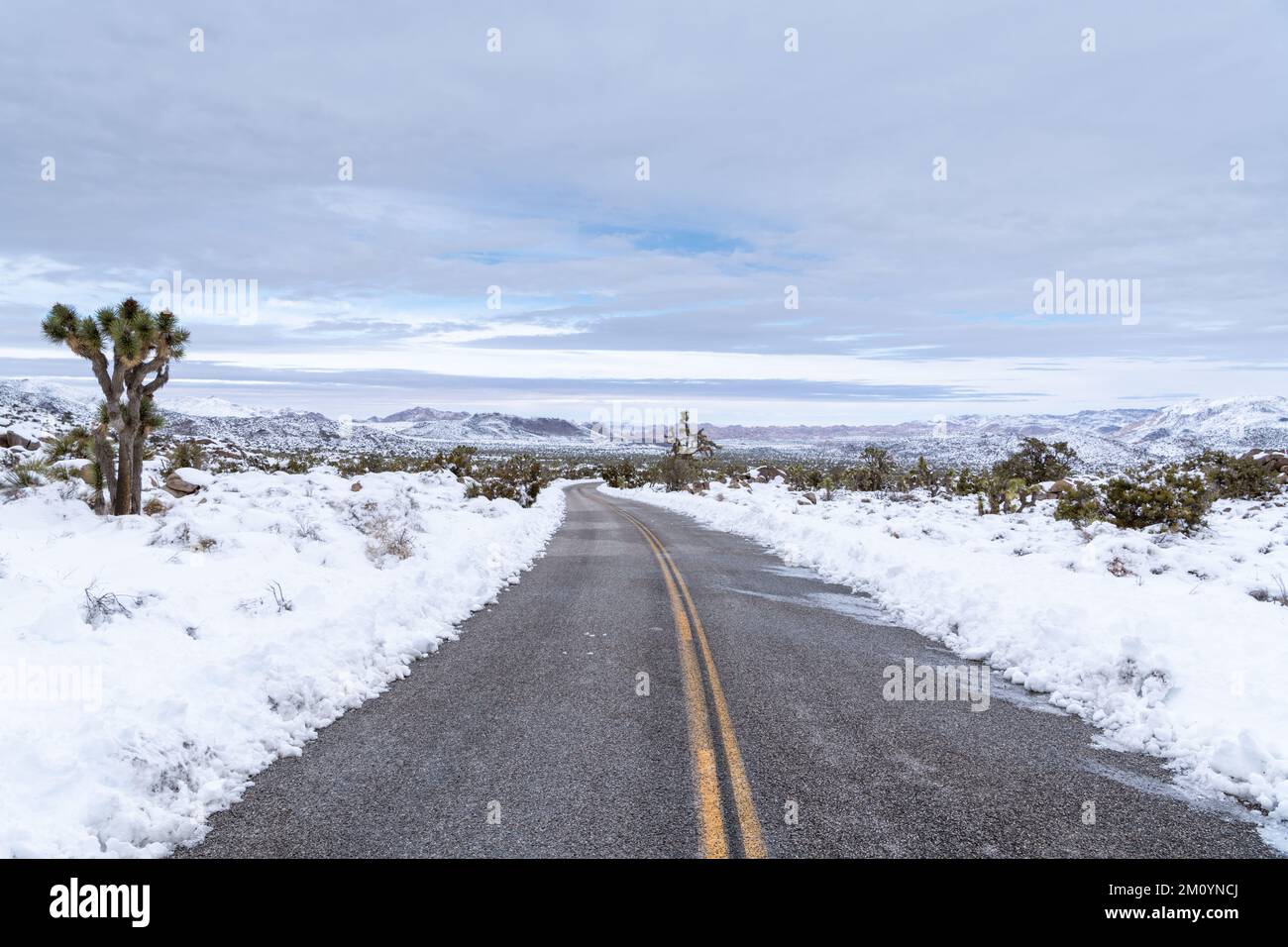 Road curves through a winter landscape of snow-covered desert in Joshua ...