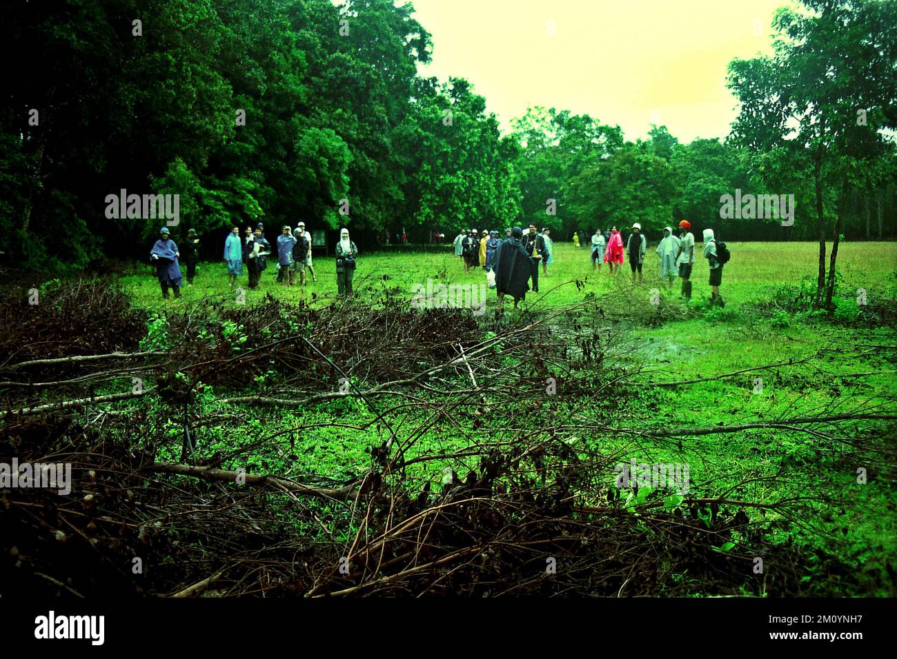 A group of national park visitors having a conversation with a guide as ...