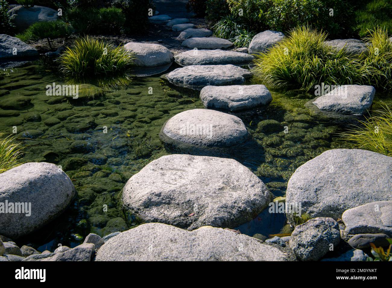 Peaceful scene of stepping stones crossing a clear stream in a zen ...