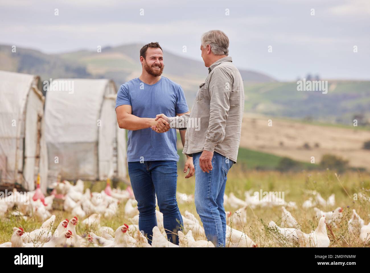 Its been a pleasure doing business on your farm. two men shaking hands ...