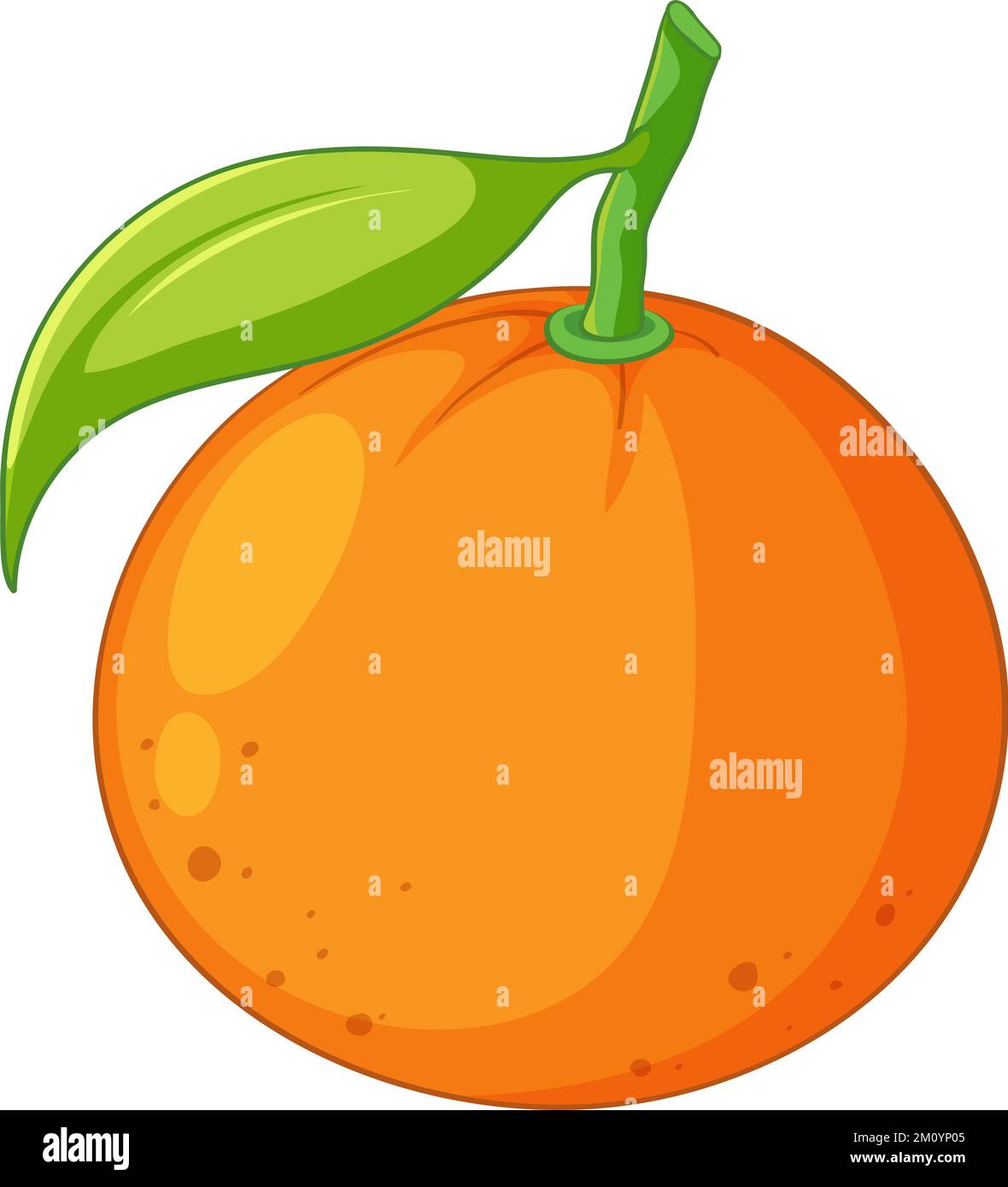 Isolated simple orange fruit cartoon illustration Stock Vector Image ...