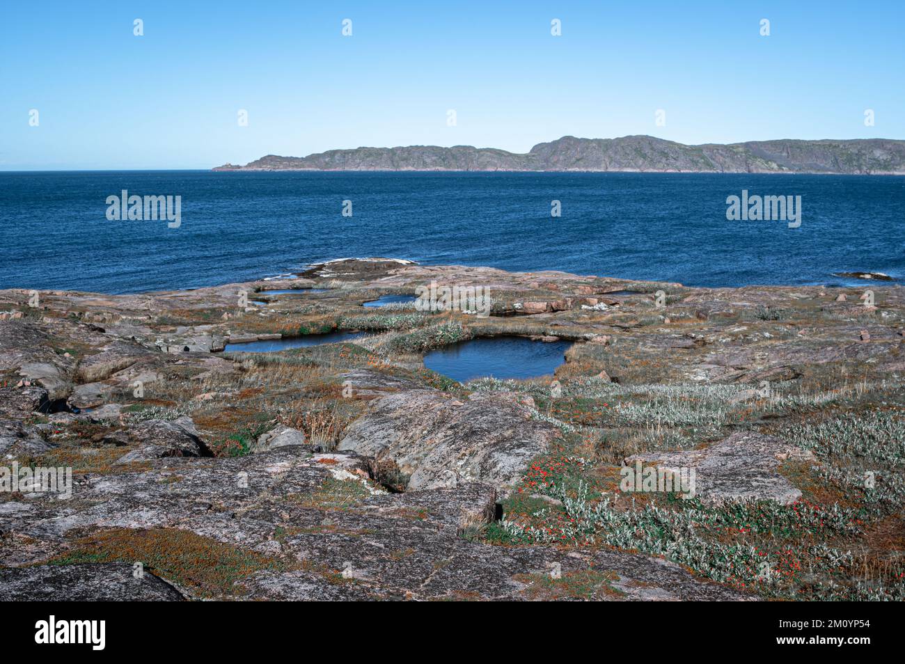 Picturesque view of a desolate shore covered with moss against the blue ...