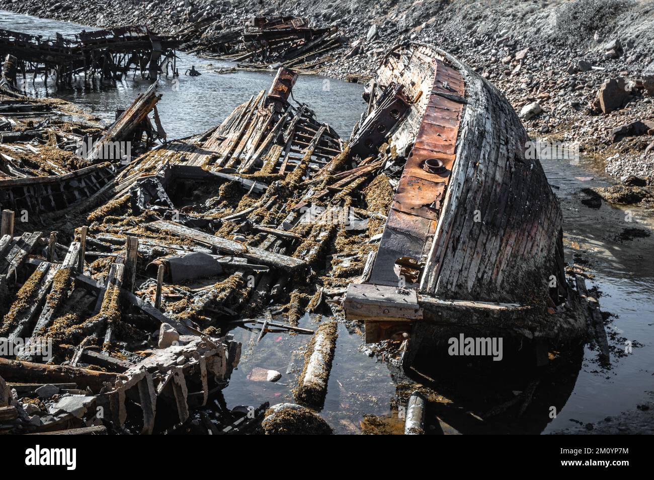 Ship graveyard on a desolate shore of Teriberka, Russia Stock Photo - Alamy