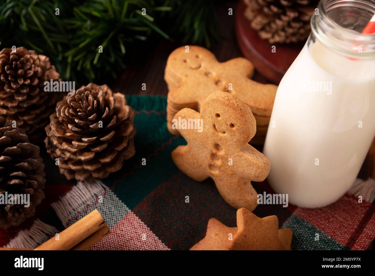 Homemade gingerbread man cookies, traditionally made at Christmas and ...