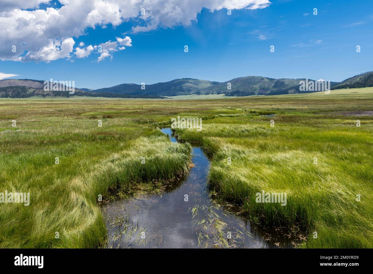 Valles caldera national park hi-res stock photography and images - Alamy
