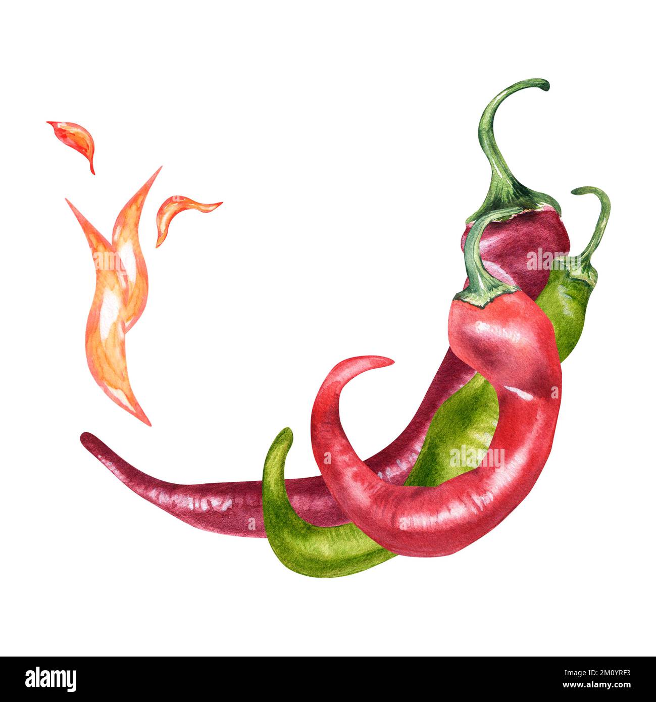 Red chili hot peppers on fire watercolor illustration isolated on white ...