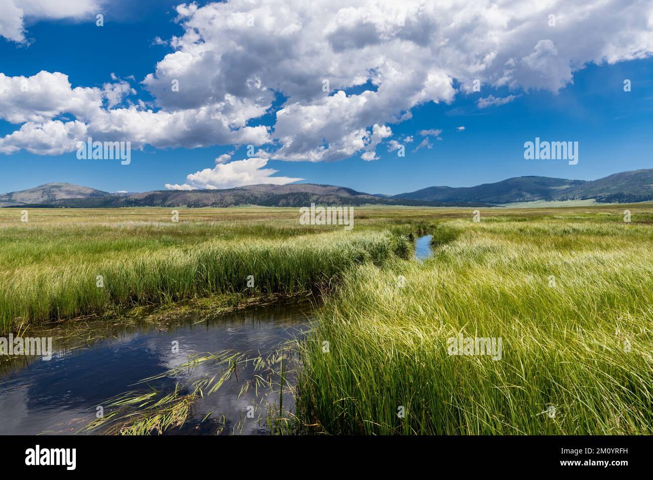 A stream reflecting a dramatic sky flows through the grassy meadows of ...