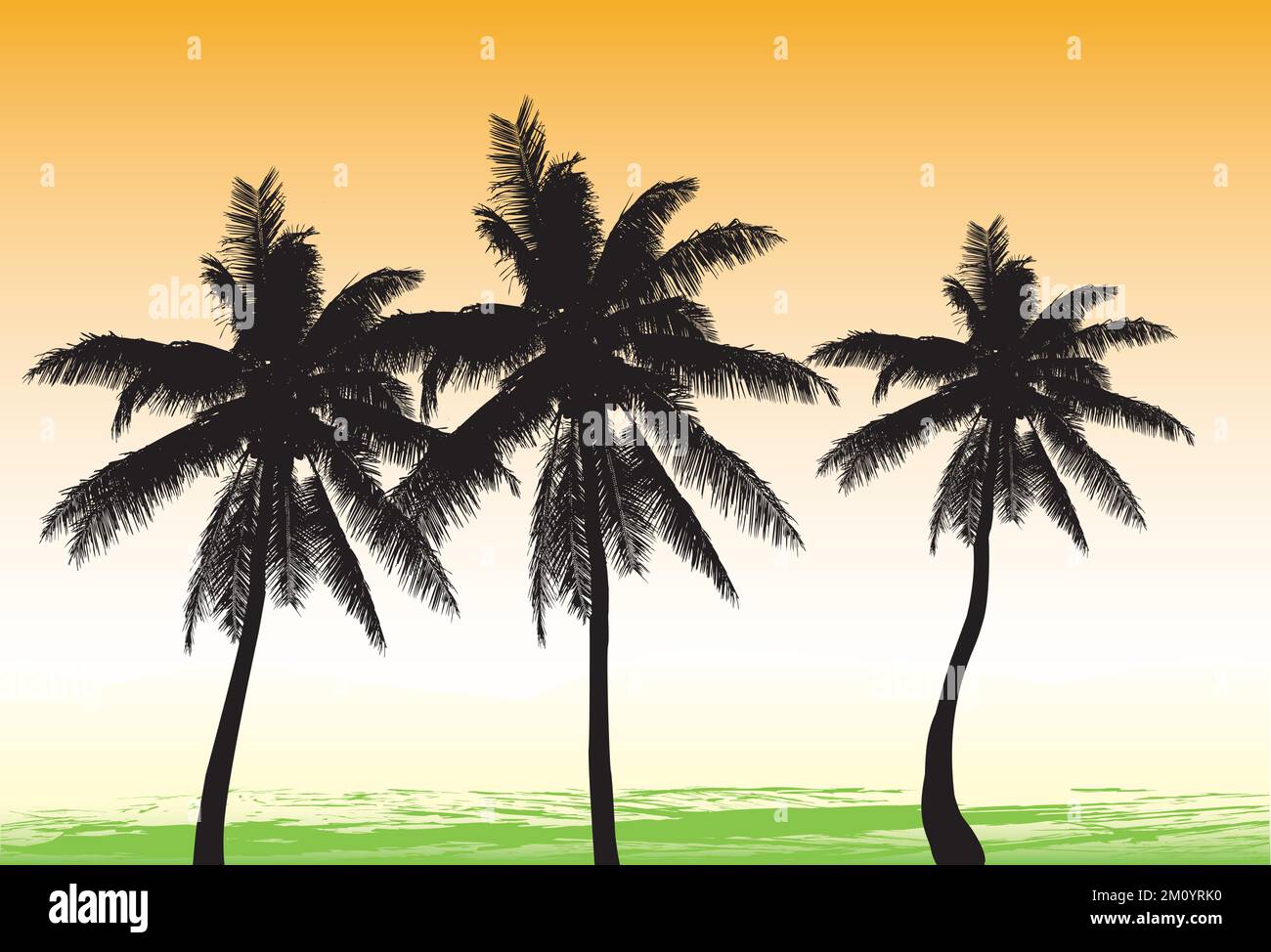three coconut trees silhouette in black with orange background Stock ...