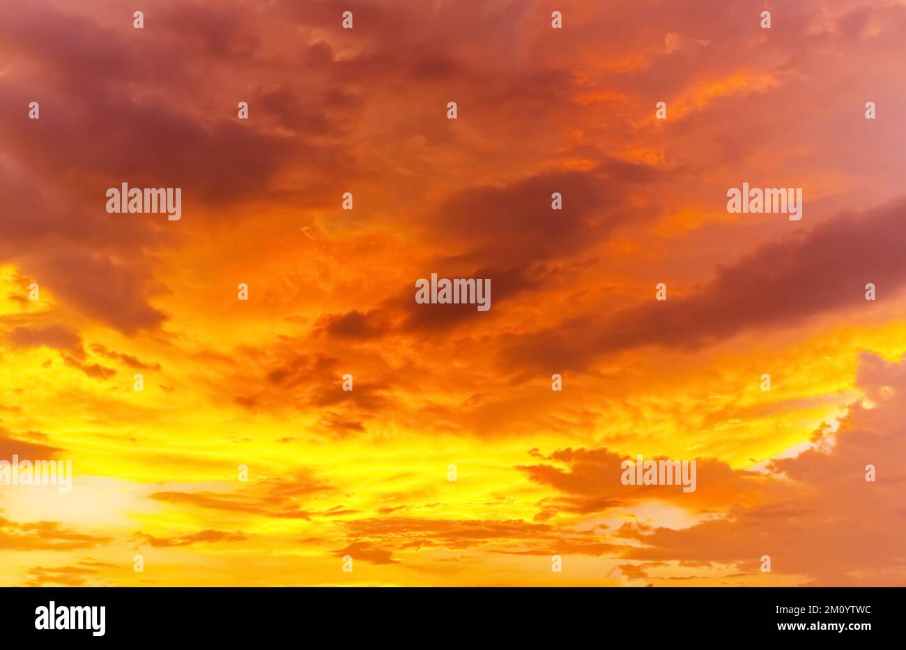 Abstract and pattern of cloud sky Calming coral, Orange, Trend color ...