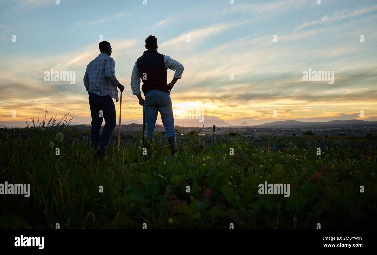 Back view two farmers walking hi-res stock photography and images - Alamy
